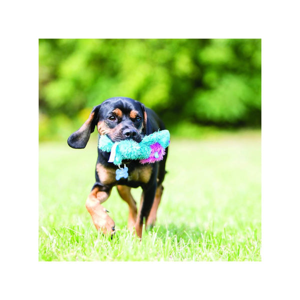 Norvet Prodol Pets Plus Oral 30Ml – CANEFARMA